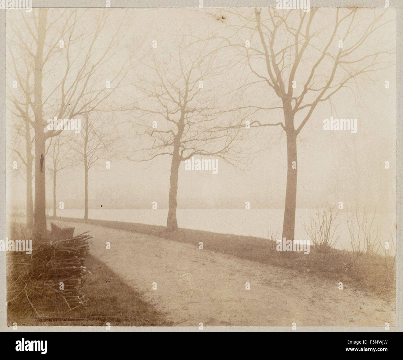 Kale bomen hi-res stock photography and images - Alamy