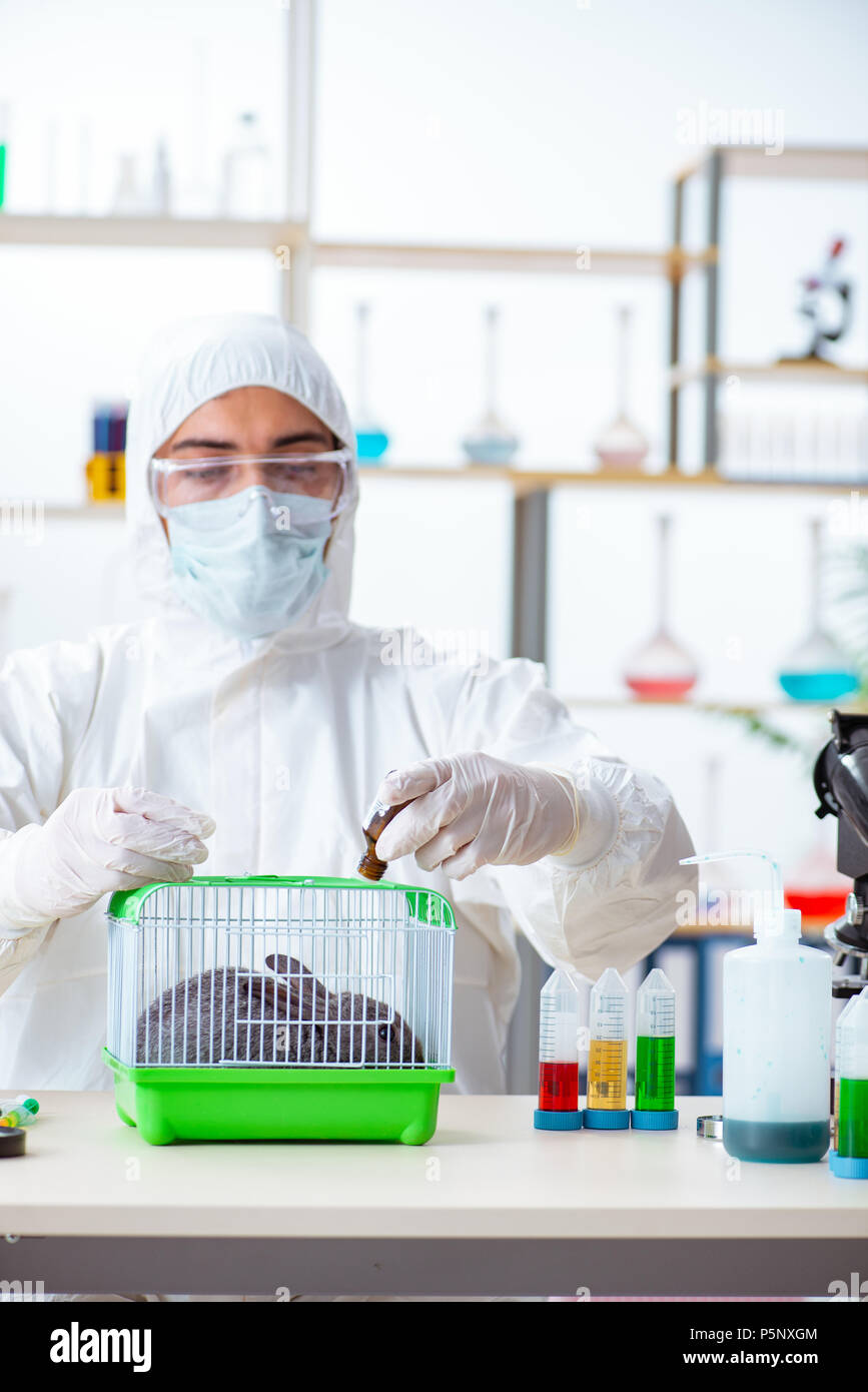 Scientist experimenting on animals hi-res stock photography and images ...