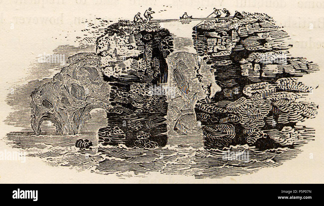 N/A. English: Woodcut by Thomas Bewick in History of British Birds 1797 ...