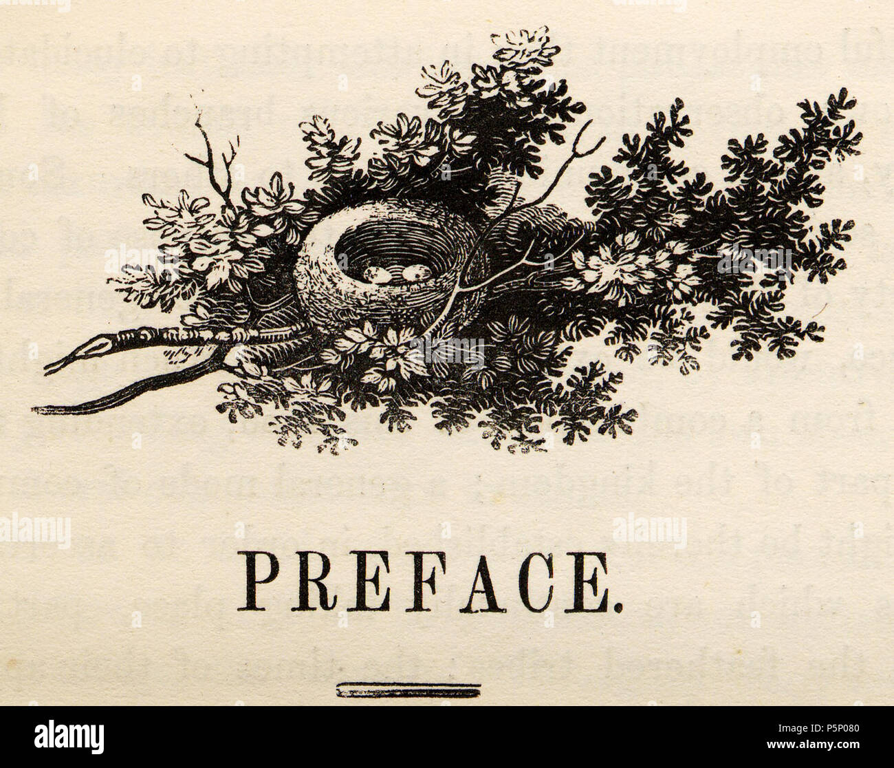 Nesbit hi-res stock photography and images - Alamy