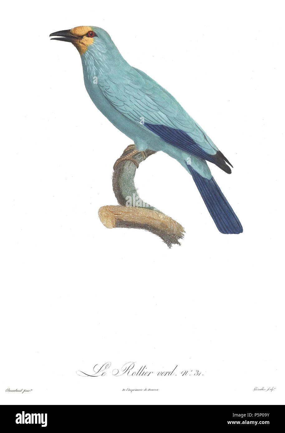 31 1806 hi-res stock photography and images - Alamy