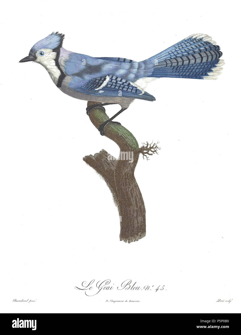 1807 45 Cut Out Stock Images & Pictures - Alamy