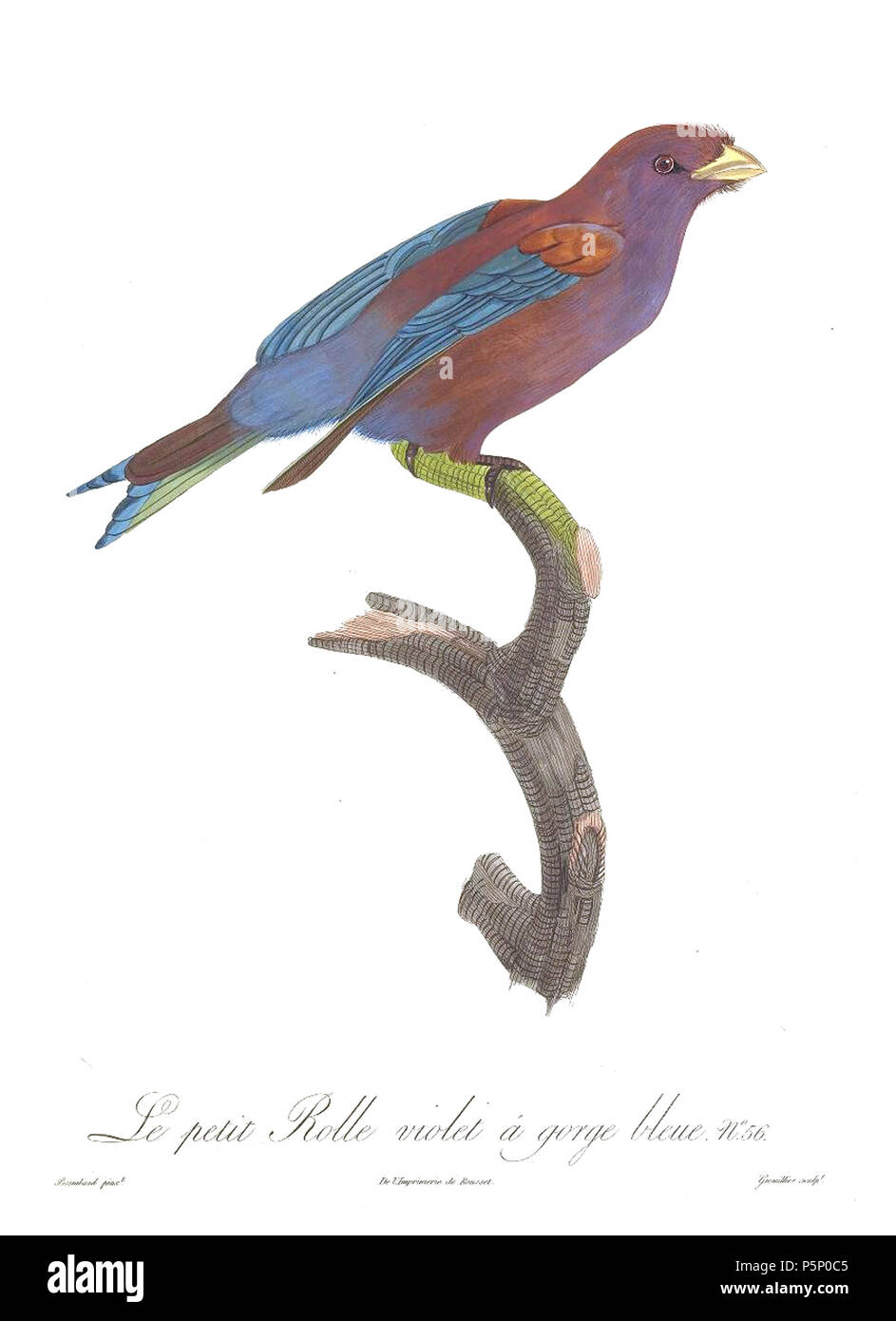 57 n a jacques hi-res stock photography and images - Alamy