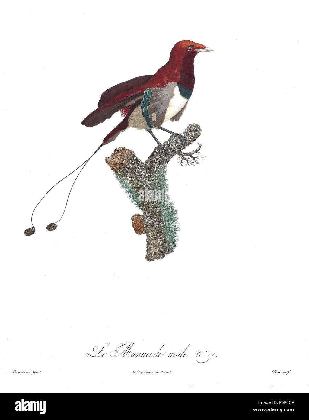 1767 october 7 hi-res stock photography and images - Alamy