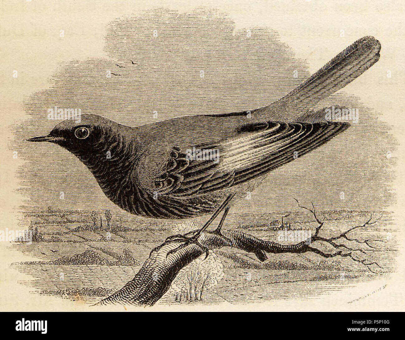 John thompson hi-res stock photography and images - Alamy