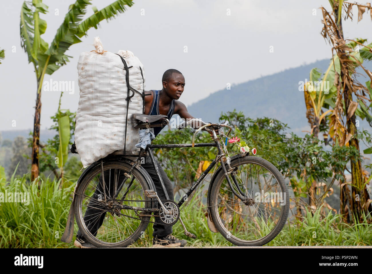Land Transportation Bike