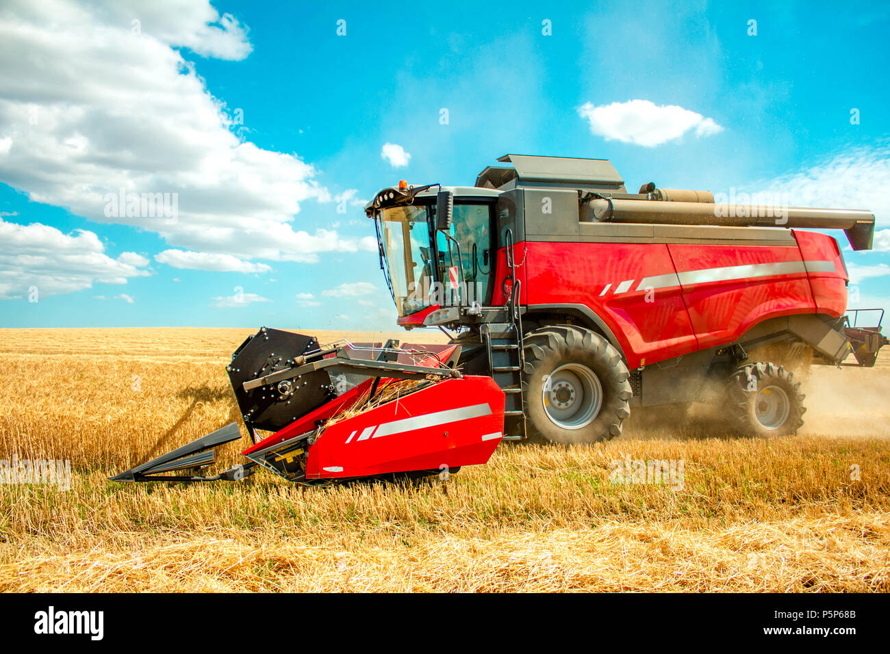 Harvester tractor harvests wheat on hi-res stock photography and images ...