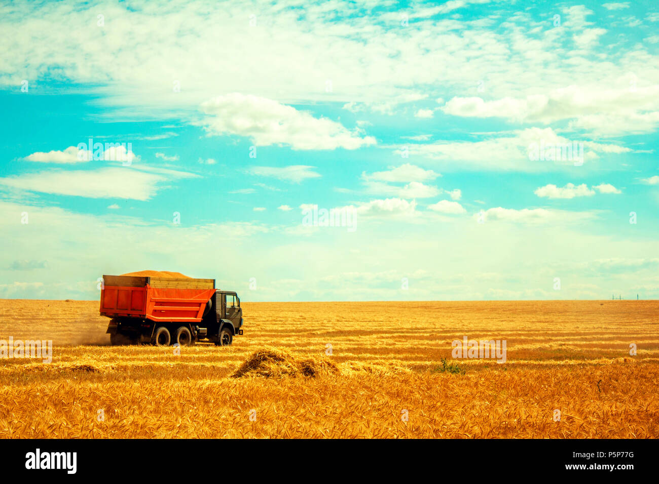 Truck hauling wheat hi-res stock photography and images - Alamy