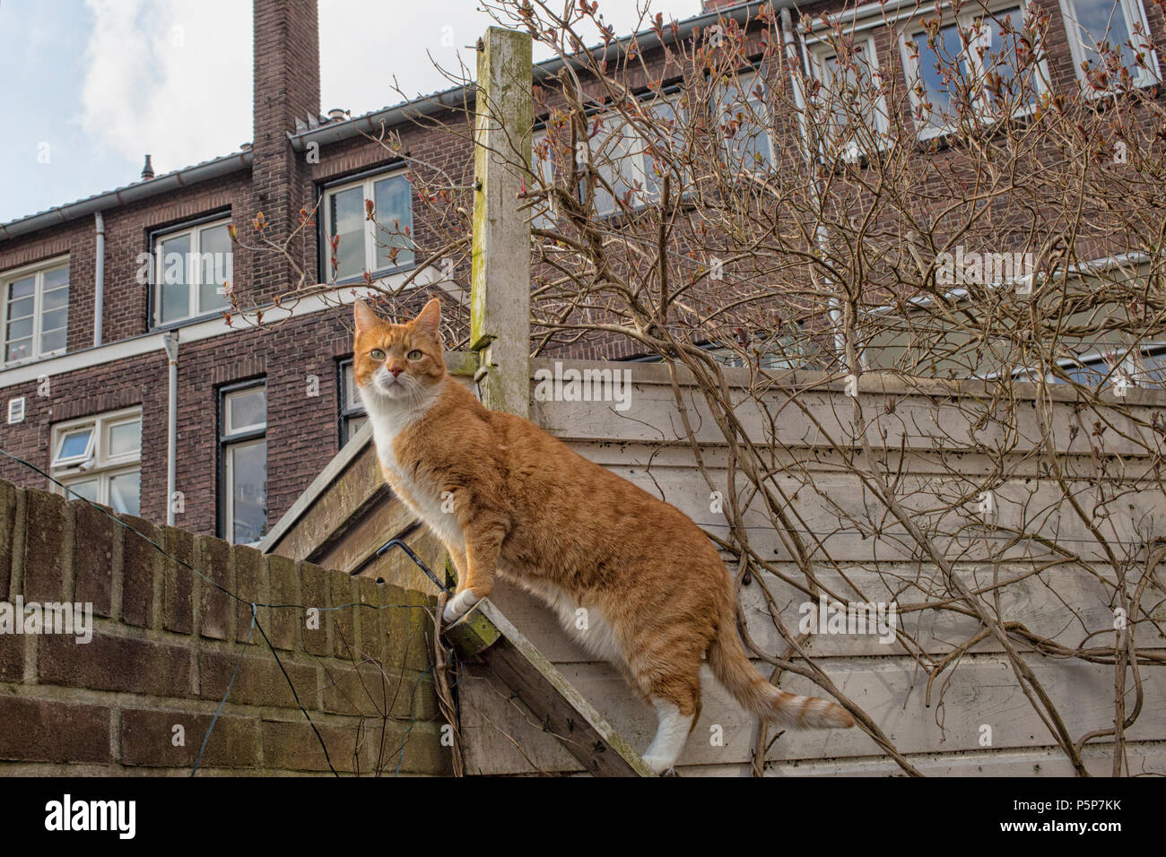 Alert red alert hi-res stock photography and images - Alamy