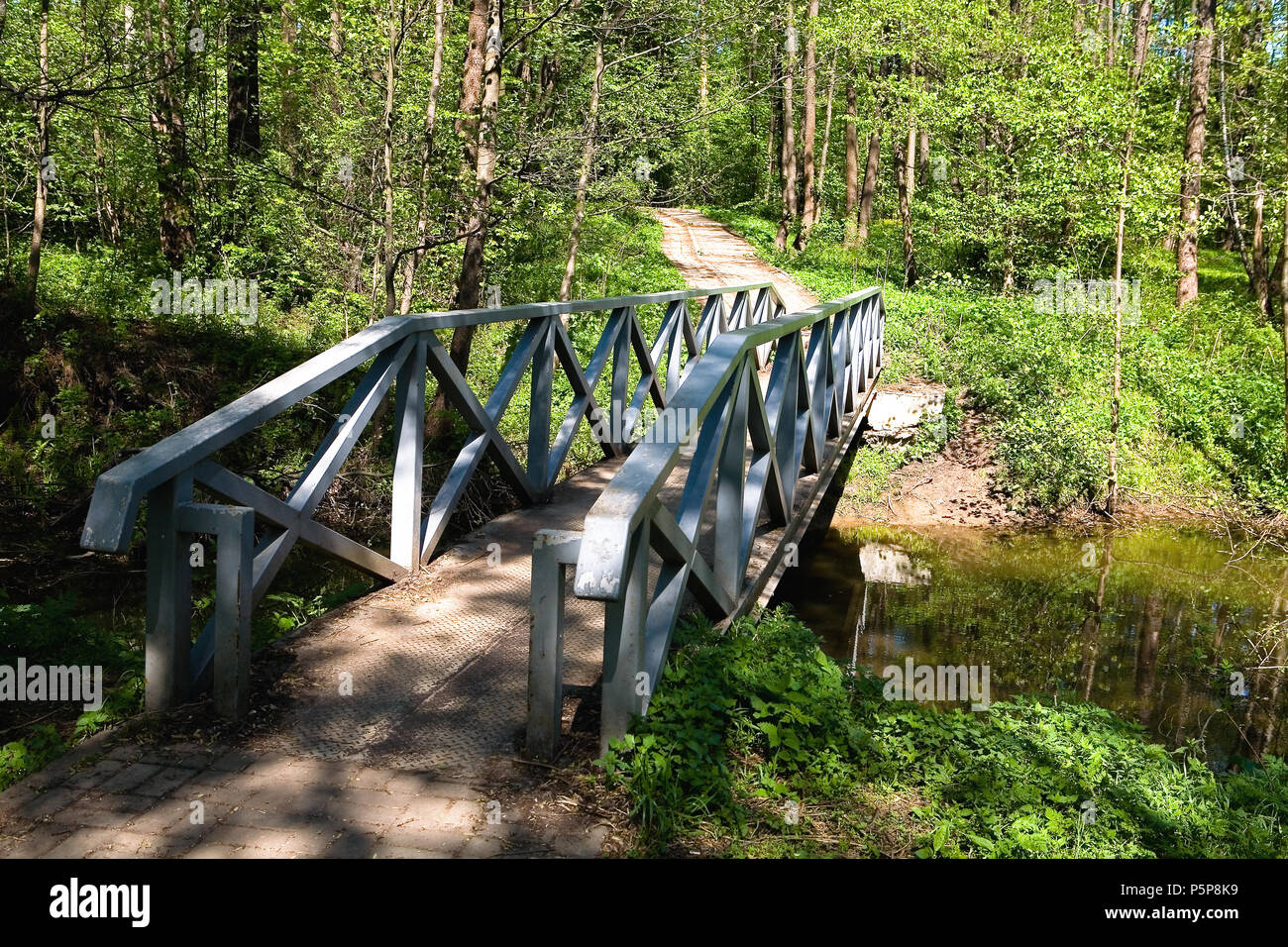 Small metal bridge hi-res stock photography and images - Alamy