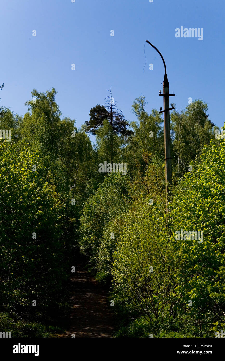 Broken mast hi-res stock photography and images - Alamy