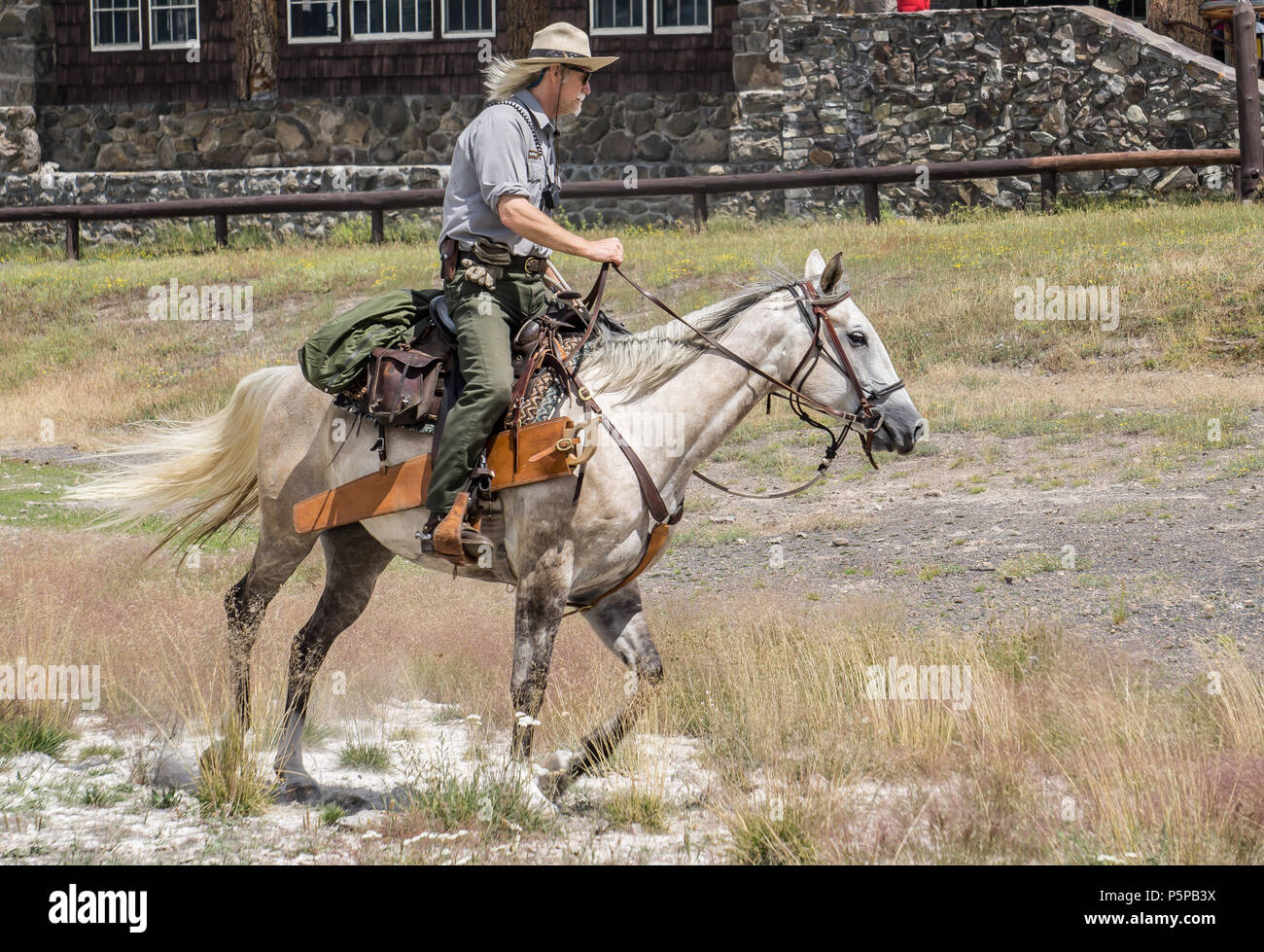 National park ranger horse hi-res stock photography and images - Alamy