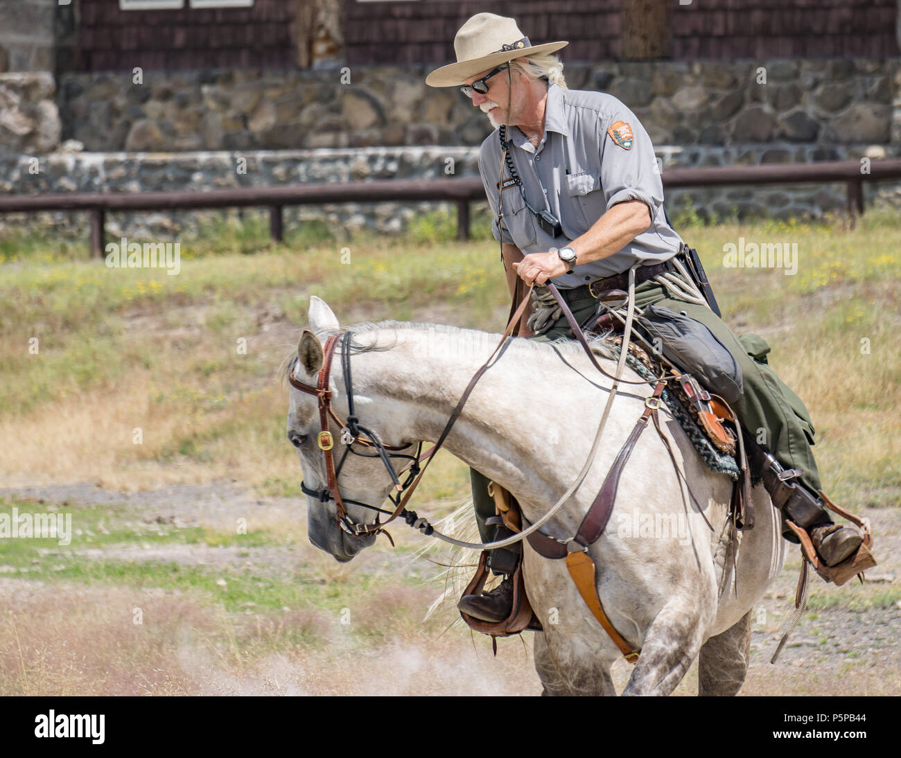 Yellowstone Park ranger riding his horse Stock Photo - Alamy