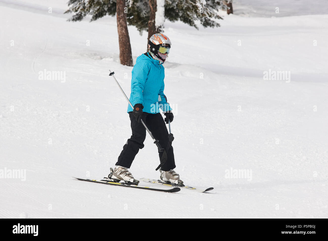 Skiing on a beautiful snow forest landscape. Winter sport. Horizontal ...