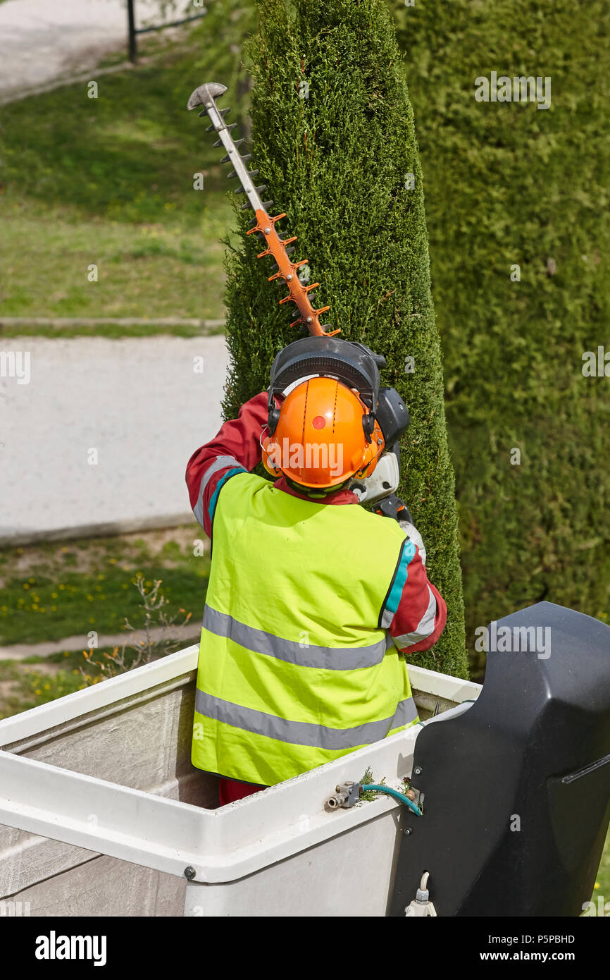 Equiped worker pruning a tree on a crane. Gardening works Stock Photo ...