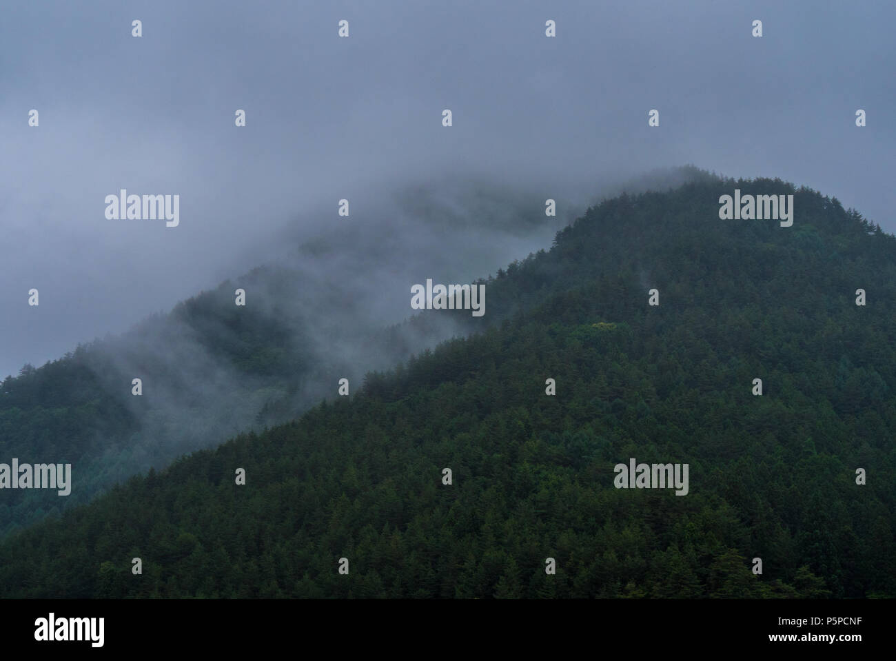 The Japanese Highlands around Mount Fuji in the mist Stock Photo - Alamy