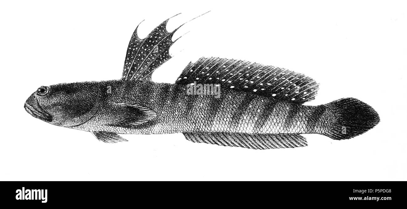 N/A. The species names / identity need verification. The original ...