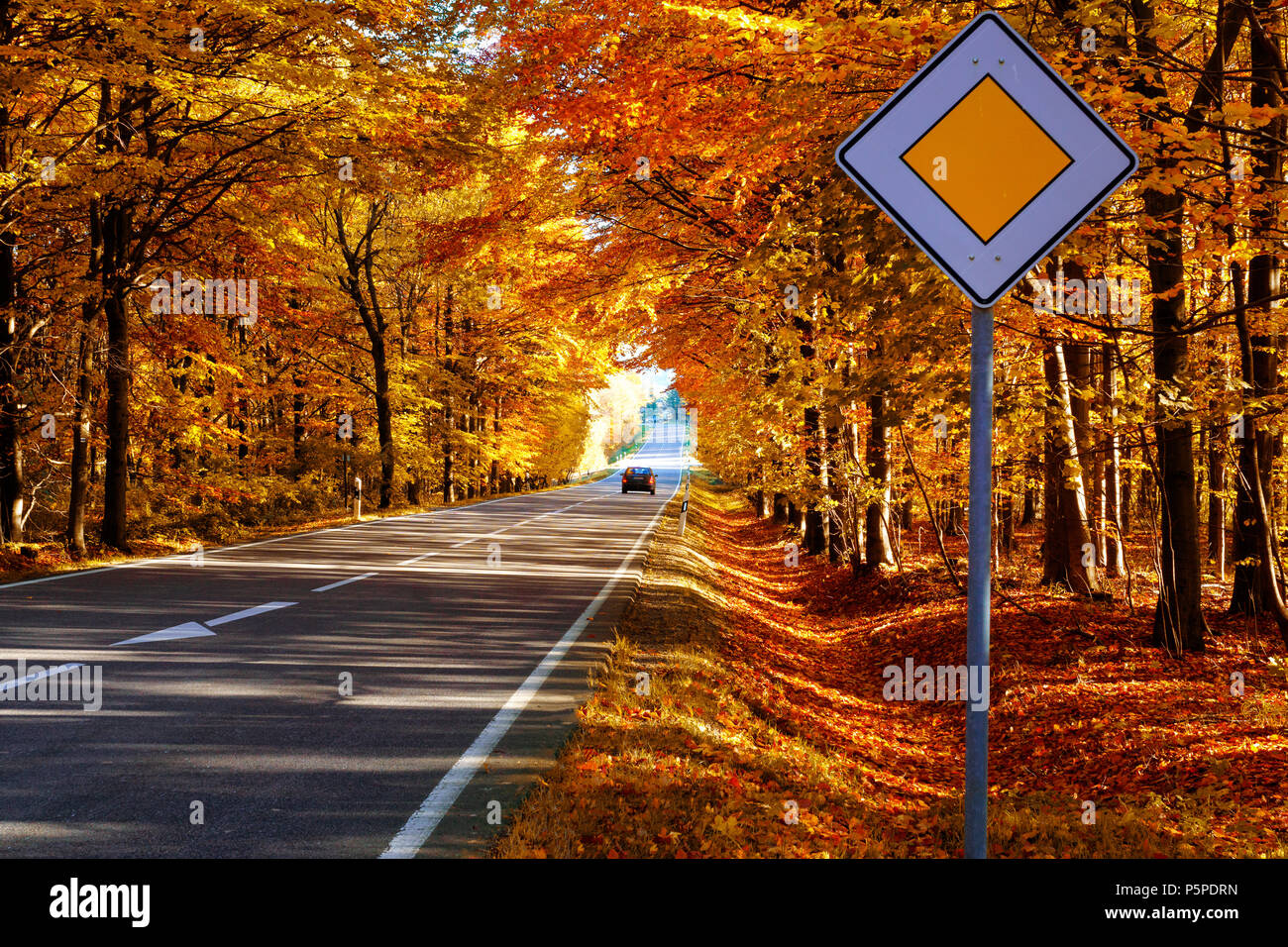 Main street sign hi-res stock photography and images - Alamy