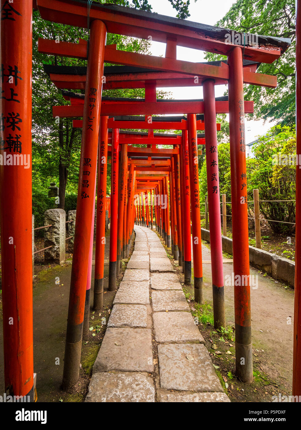 The famous red gate path of Nezu Jinja Shrine in Tokyo Stock Photo - Alamy