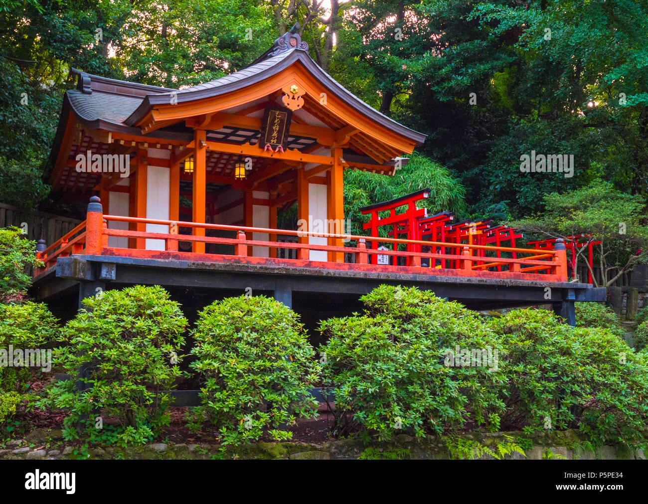 Nezu Jinja Shrine - the famous Shinto Shrine in Tokyo Bunkyo Stock ...
