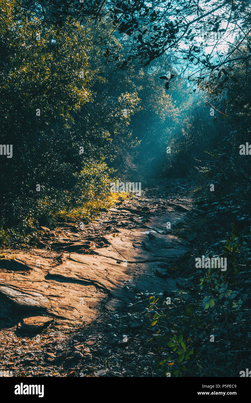 Landscape with a path in the mountain lit by a ray of sunLandscape with ...