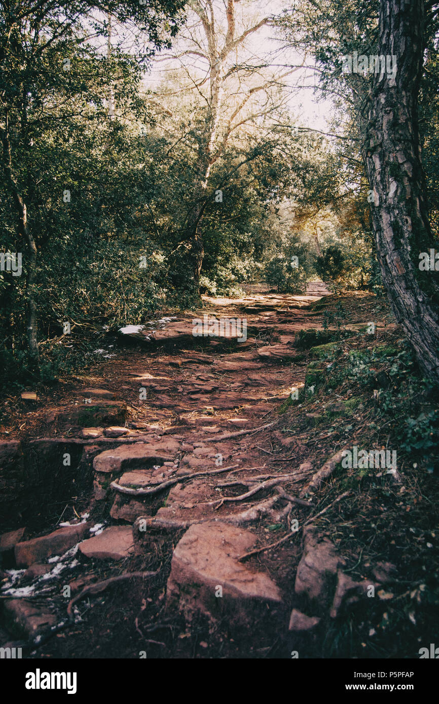 Earth trail crossing the mountain Stock Photo - Alamy