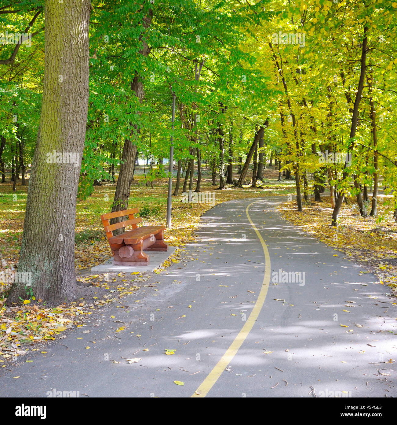 autumn landscape in a beautiful park Stock Photo - Alamy