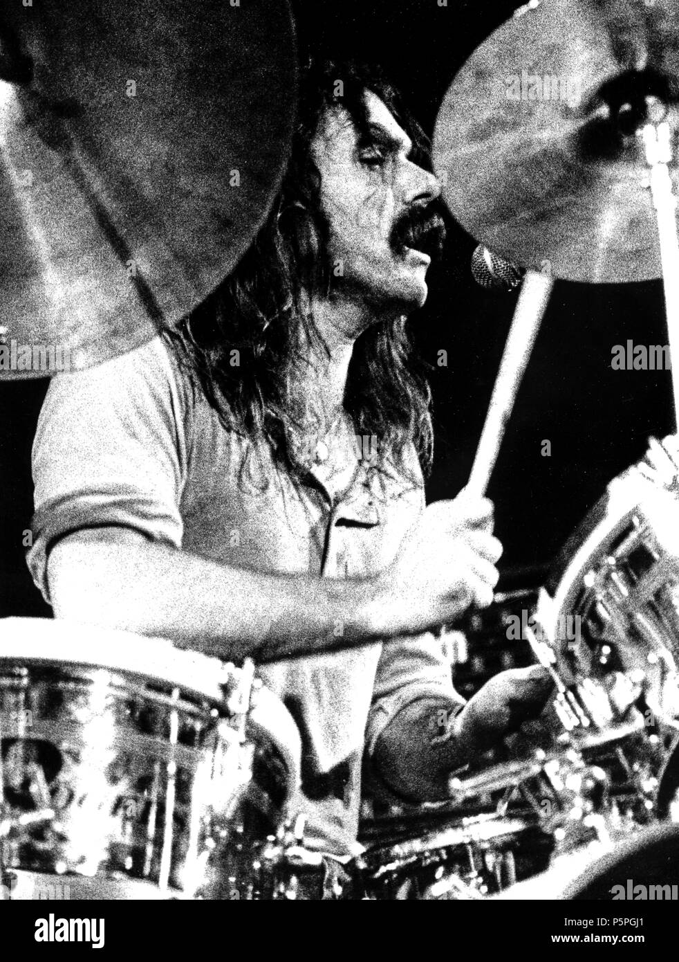 The byrds hi-res stock photography and images - Alamy