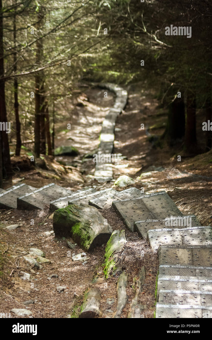 Track steps hi-res stock photography and images - Alamy