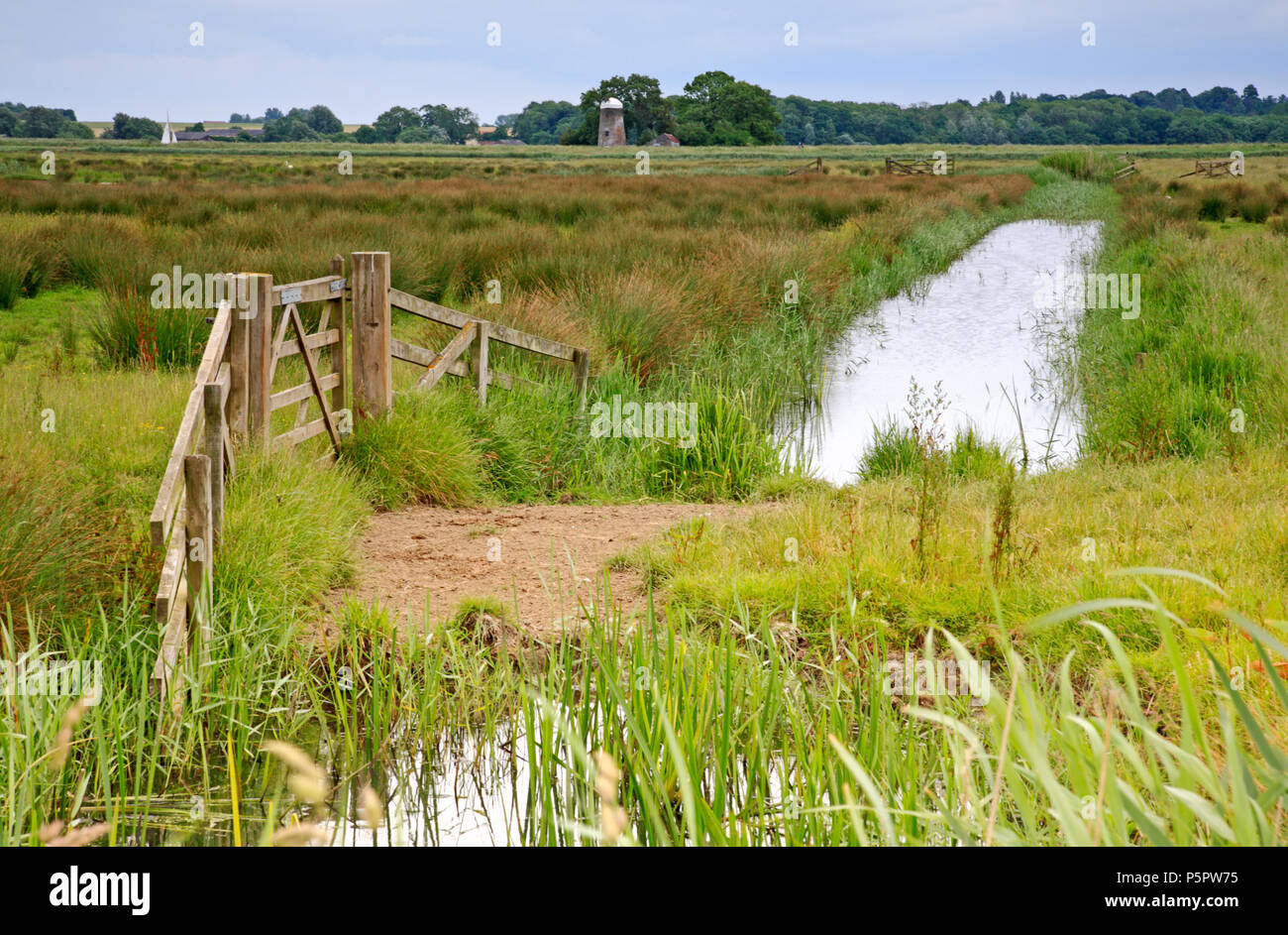 Broads scenery hi-res stock photography and images - Alamy
