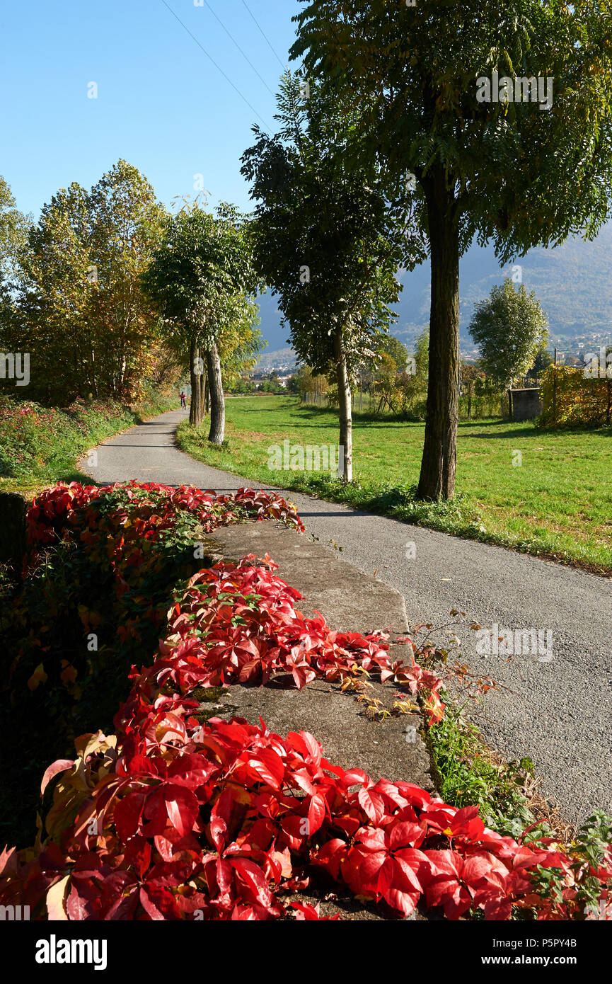 Darfo (Bs), Valcamonica, Italy, the bike path of the Valcamonica Stock ...