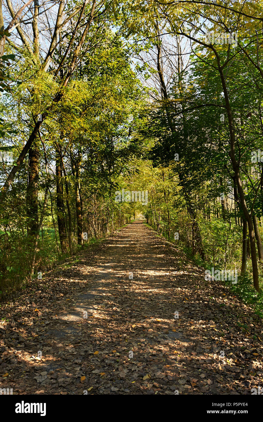 Artogne (Bs), Valcamonica, Italy, the bike path of the Valcamonica ...