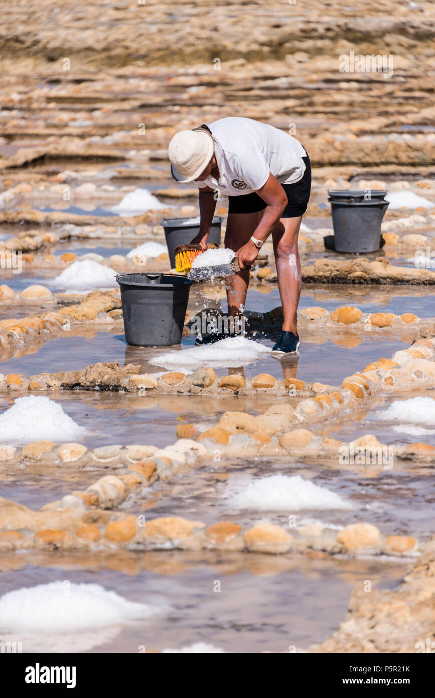 Bucket in sun hi-res stock photography and images - Alamy