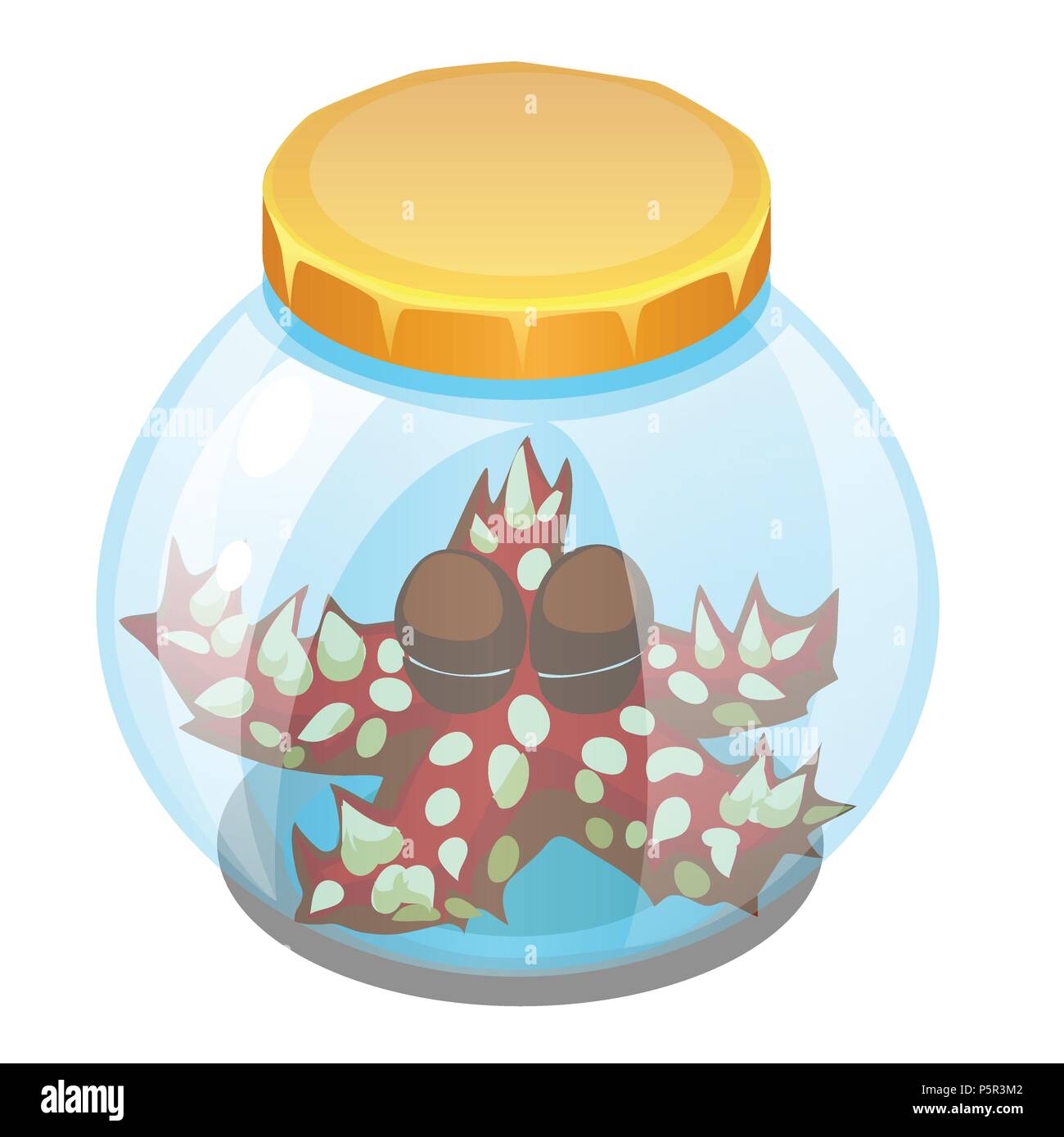 Cartoon starfish sleeping in a glass jar isolated on white background ...