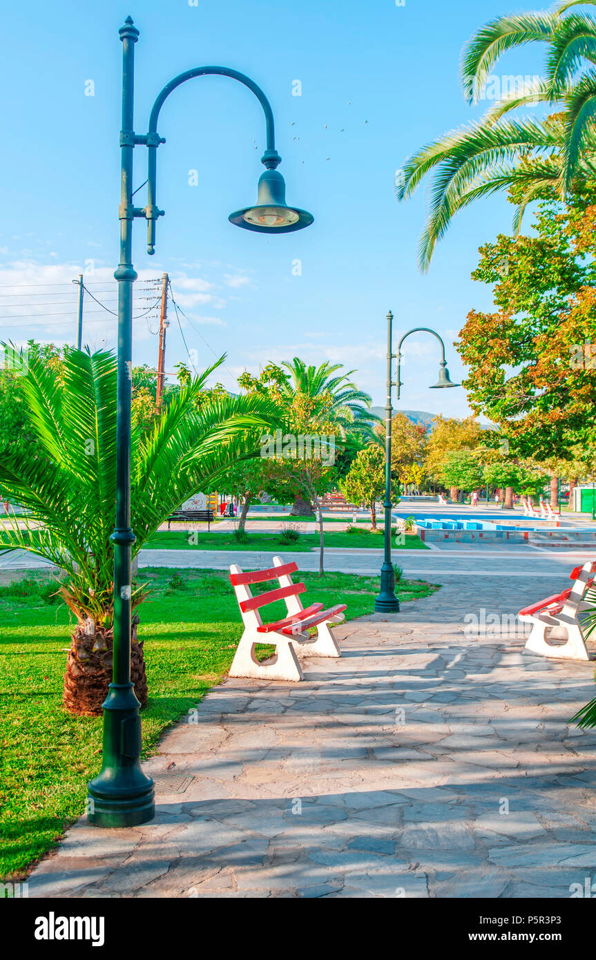 Coconut palm tree along the promenade Stock Photo - Alamy
