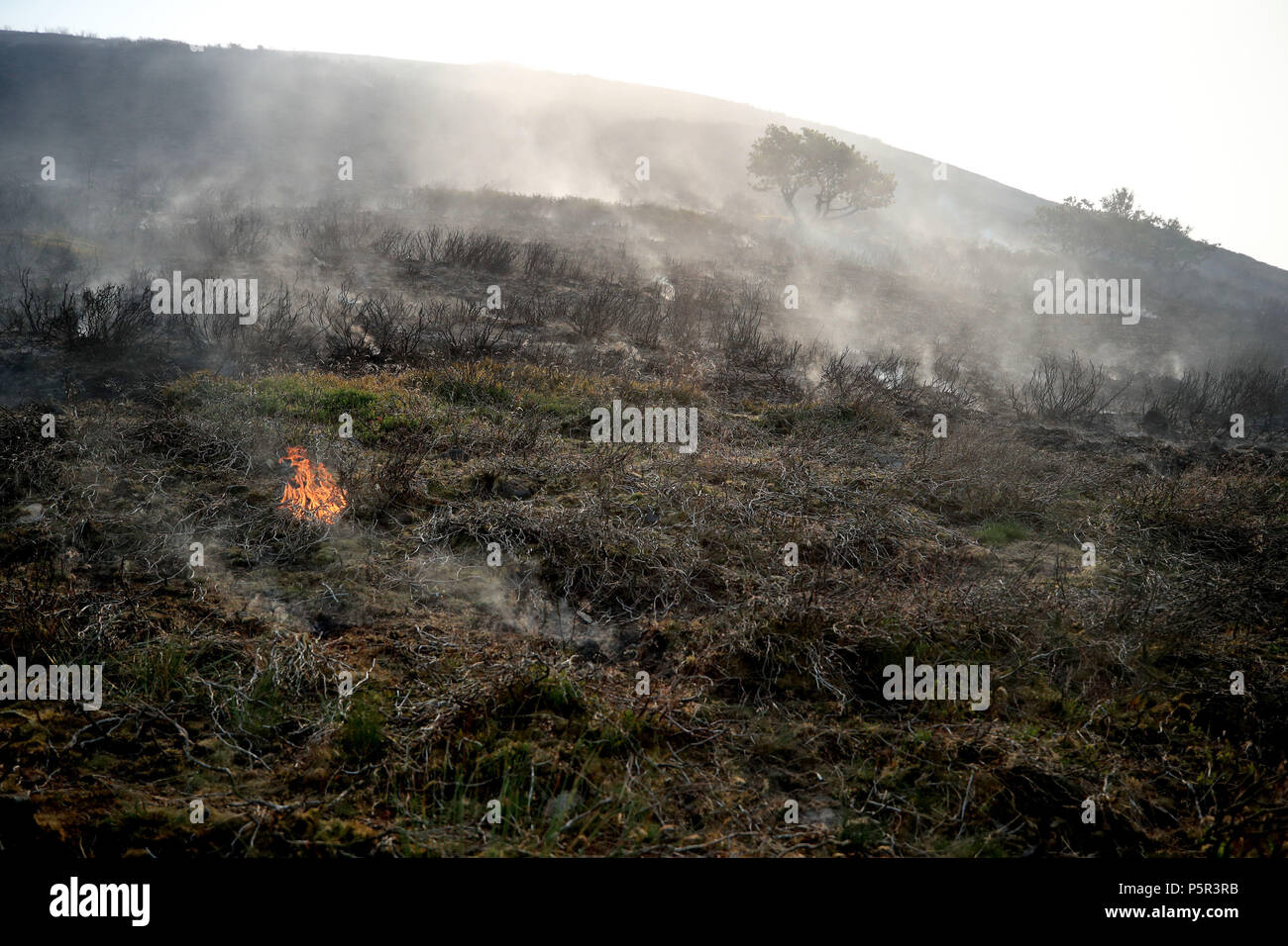 Fire on land hi-res stock photography and images - Alamy