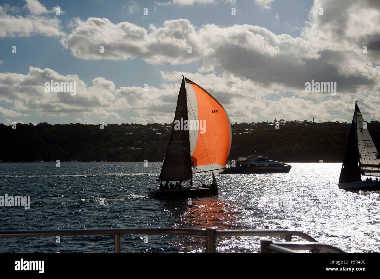 Sailing, Sydney Harbour, Sydney, New South Wales, Australia Stock Photo ...