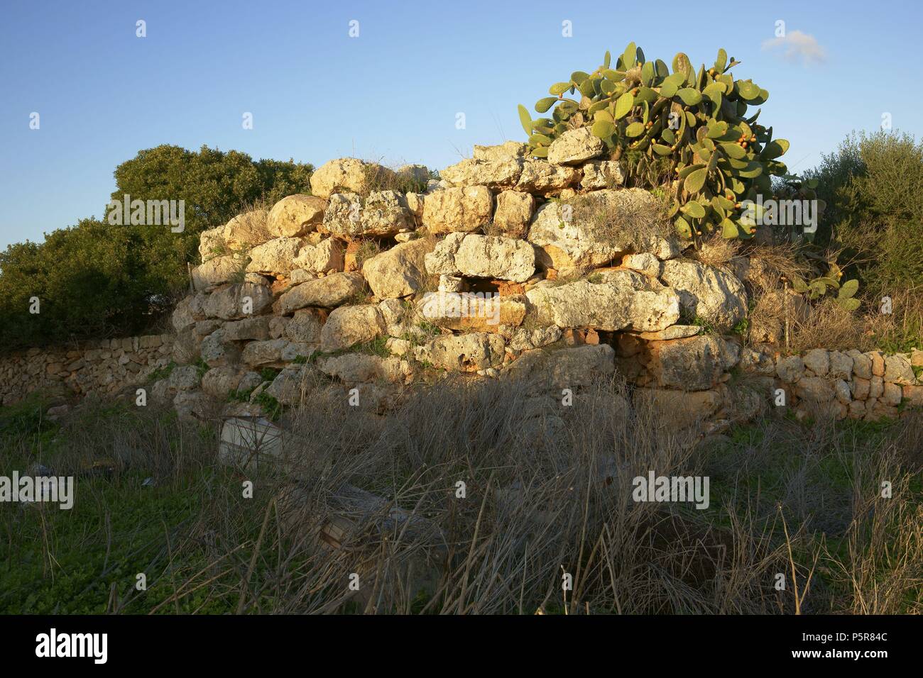 Talayot de Sa Talaya.Llucmajor. talaiótico (Edad de bronce)..Mallorca ...