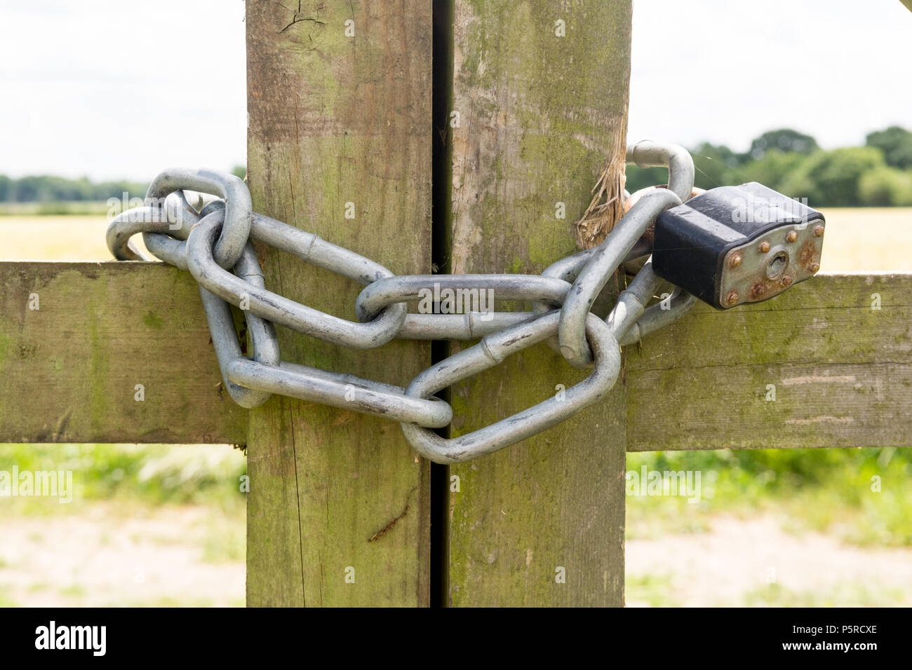Gate locked with a metal chain and padlock Stock Photo - Alamy