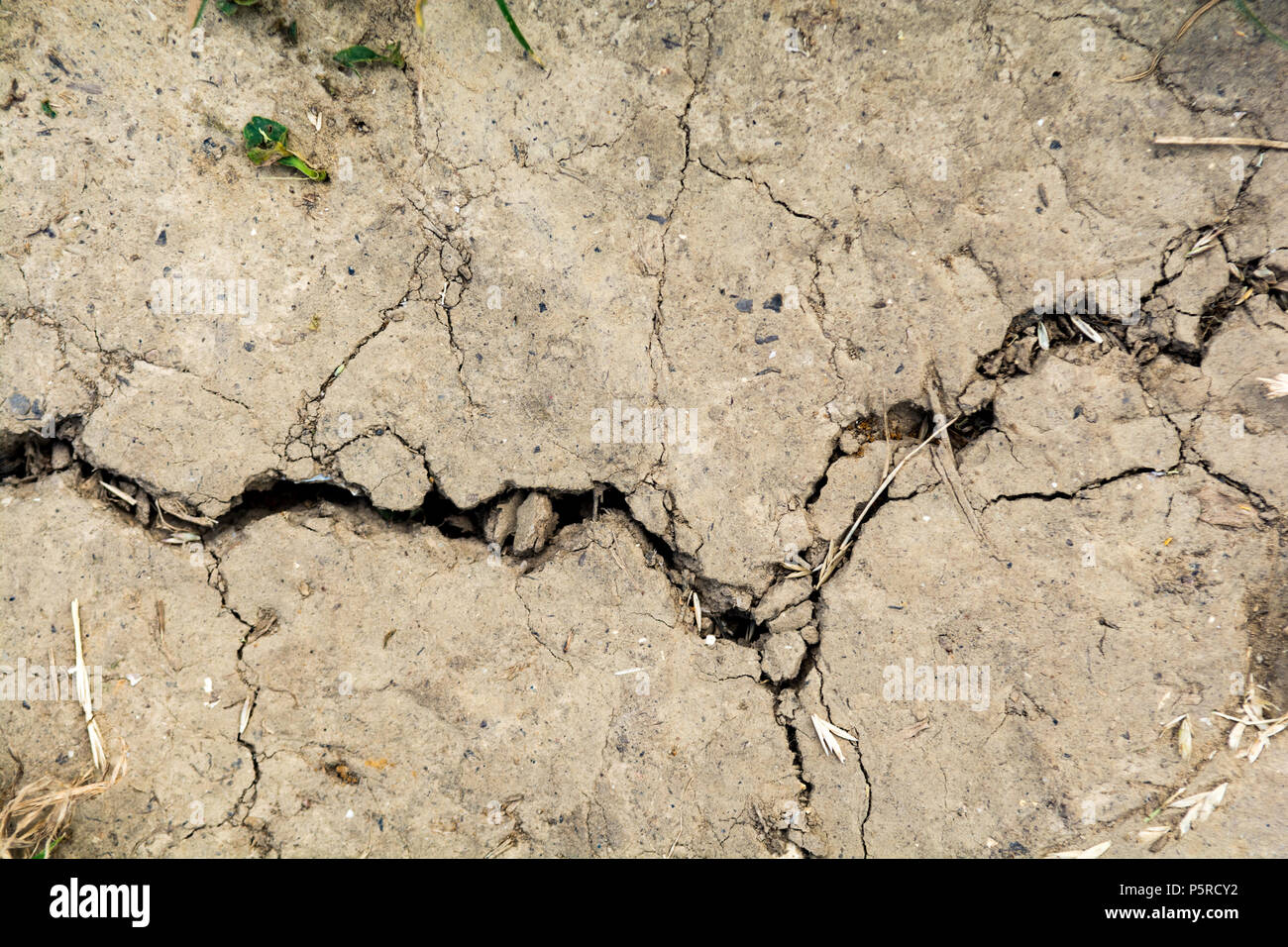 Dry earth, dried out cracked soil from hot temperature change Stock ...
