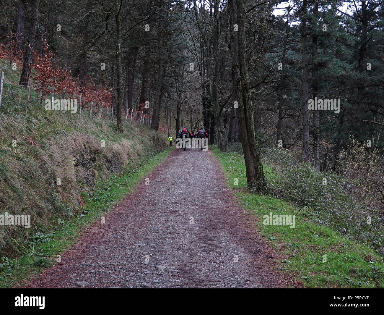 green landscape in basque country Stock Photo - Alamy