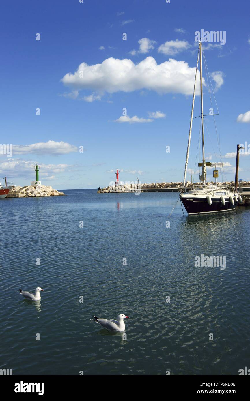 Gavina corsa hi-res stock photography and images - Alamy