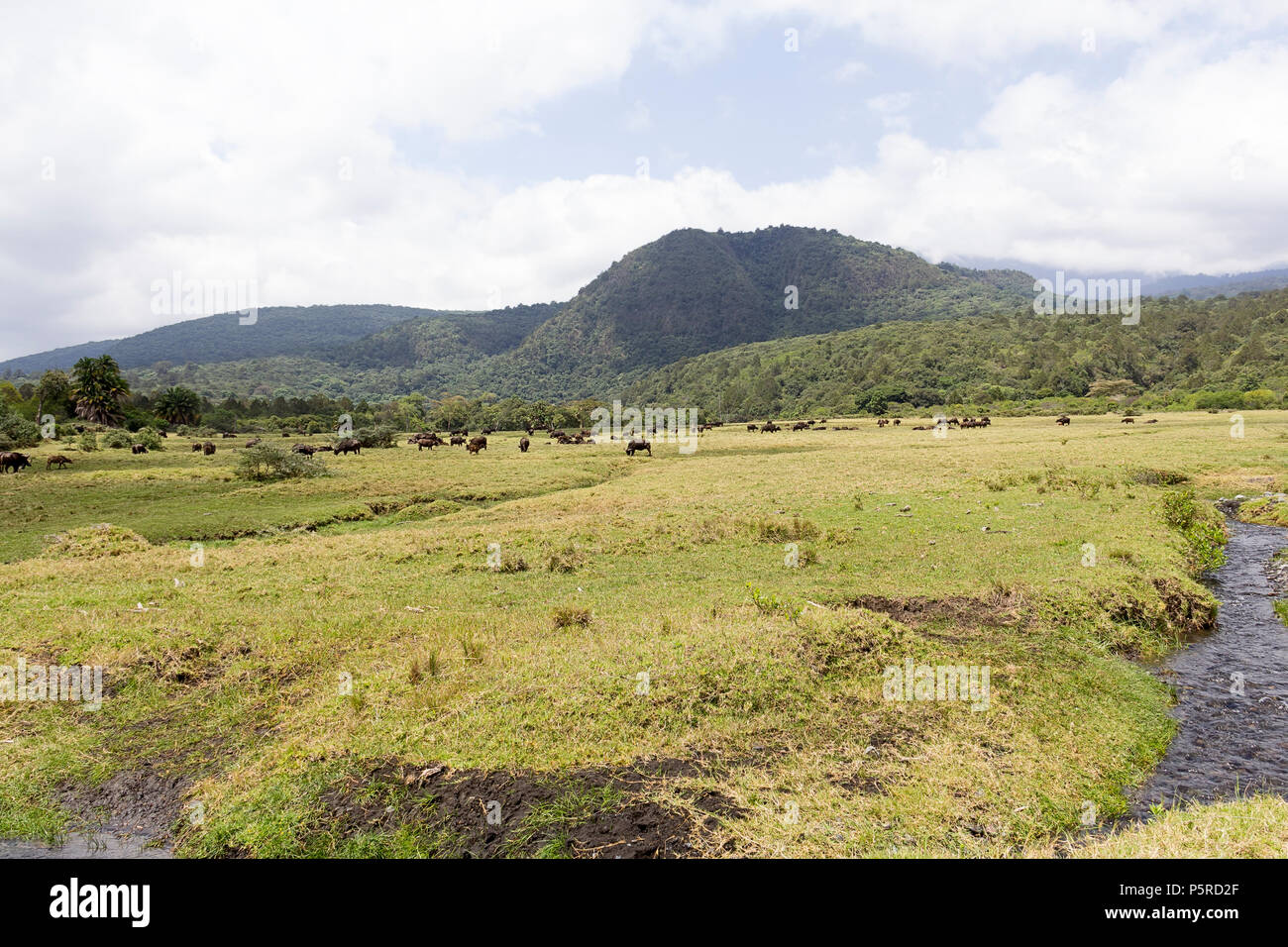 landscape in the meru montain Stock Photo - Alamy