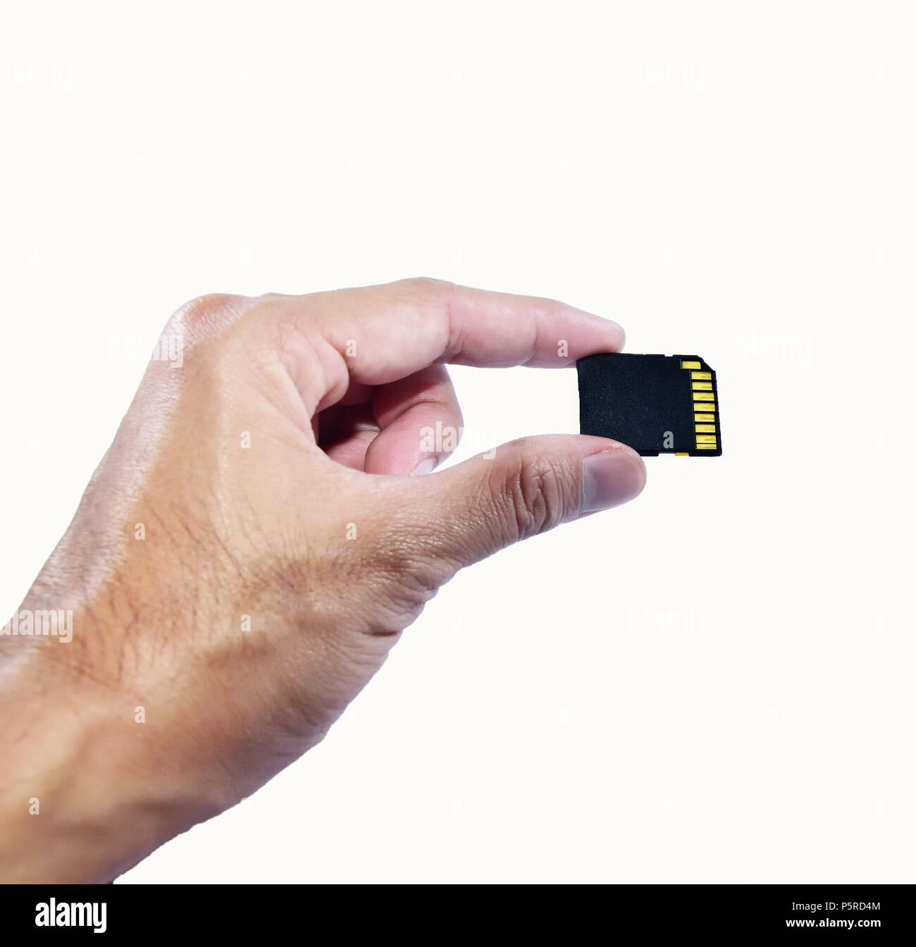 Hand holding memory card on white background Stock Photo - Alamy