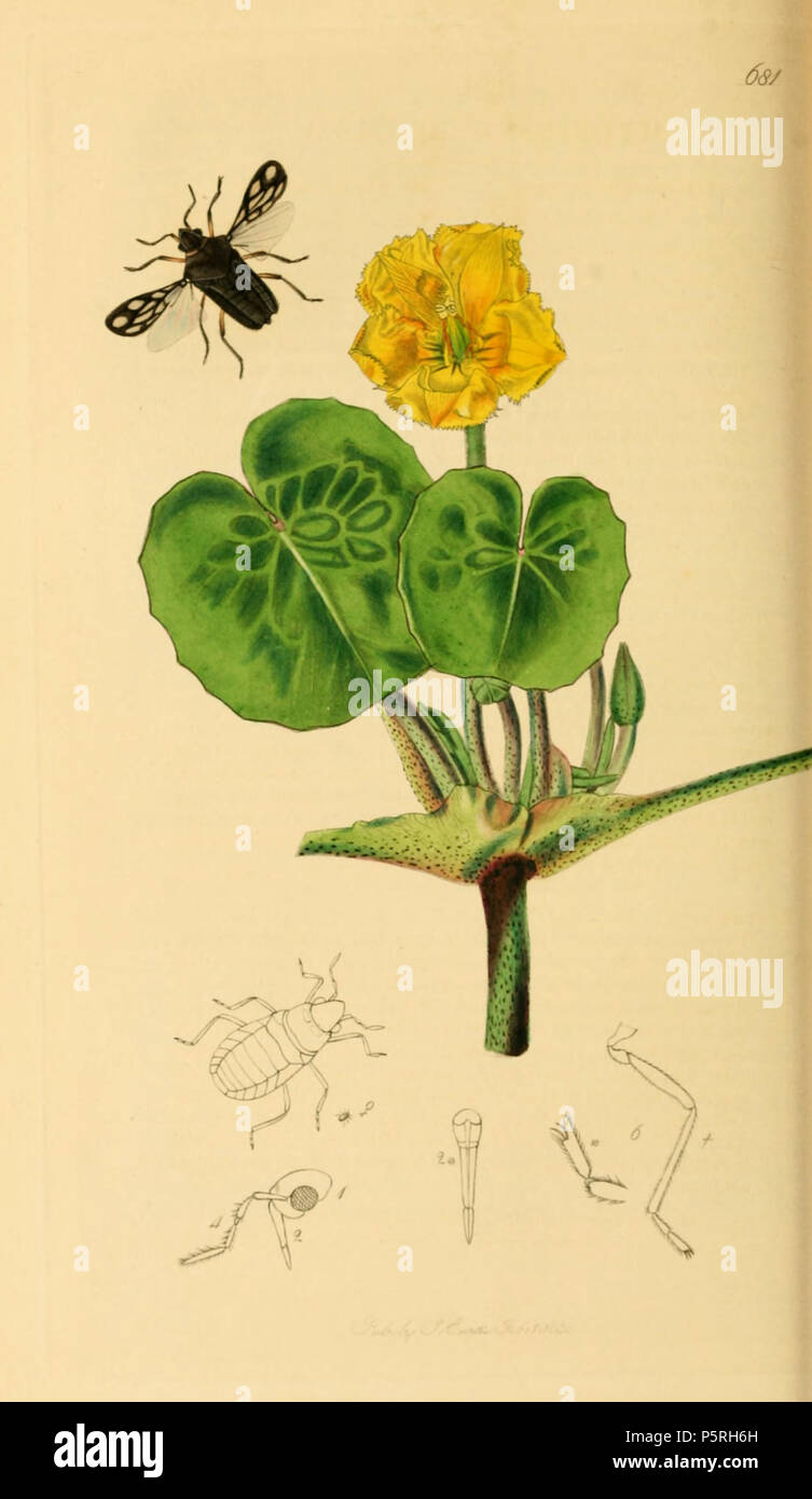 Hydroessa hi-res stock photography and images - Alamy