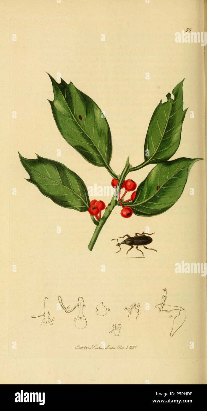 Marked differences hi-res stock photography and images - Alamy