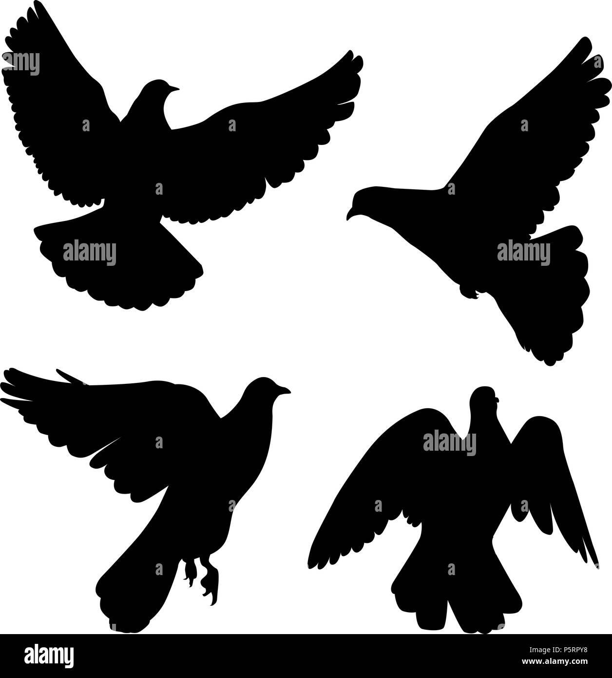 Pigeons illustration collection vector Stock Vector Images - Alamy