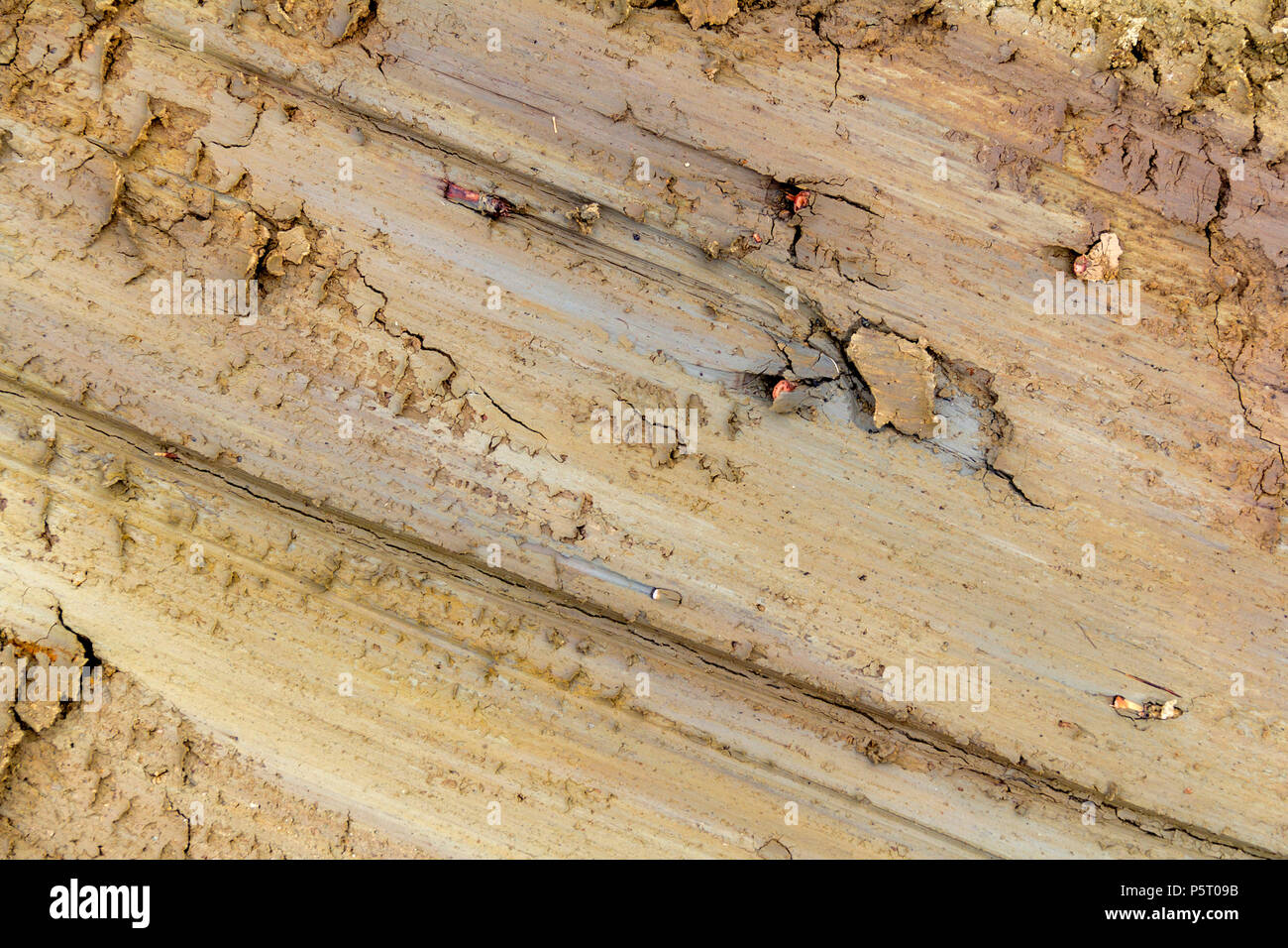 beautiful colored full frame abstract soil structure Stock Photo - Alamy