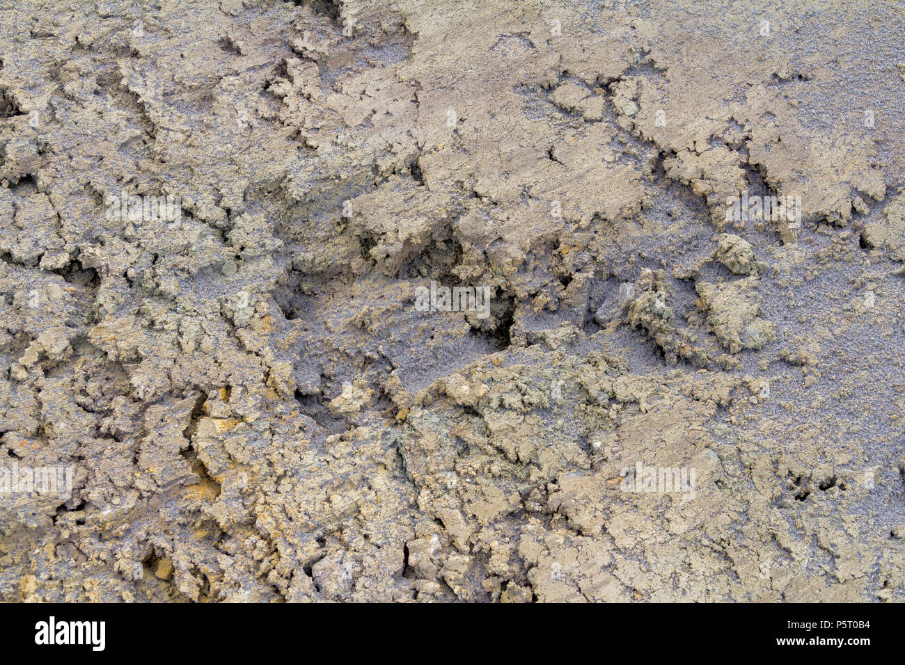 beautiful colored full frame abstract fissured soil structure Stock ...