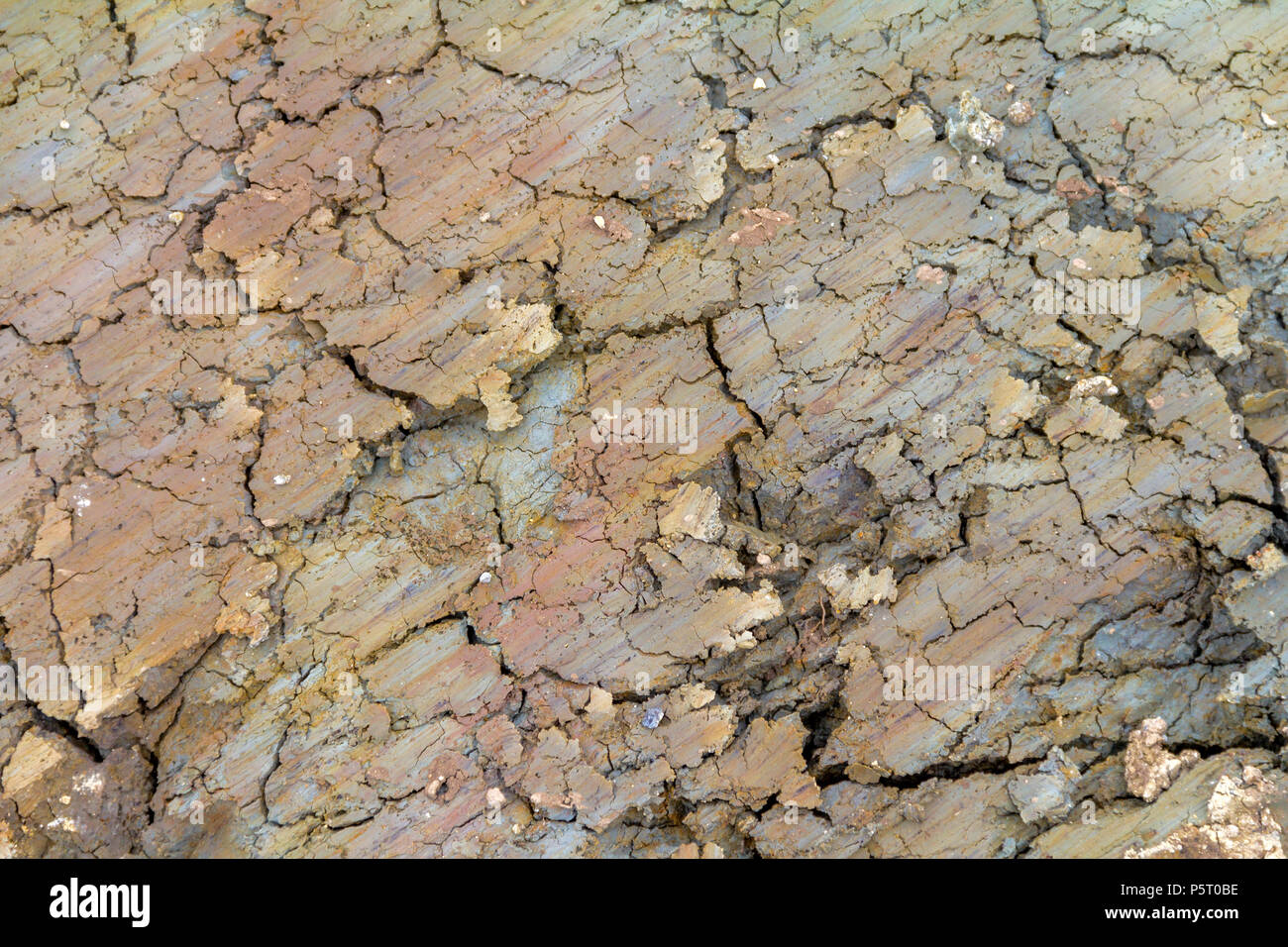 Fissured clay texture hi-res stock photography and images - Alamy